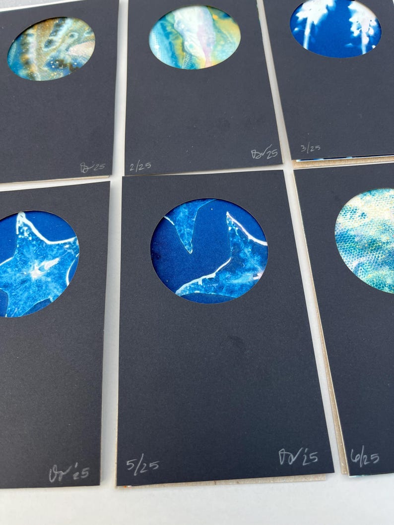 Cyanotype Mini Circle Art | Limited Edition Blue Artwork - Etsy