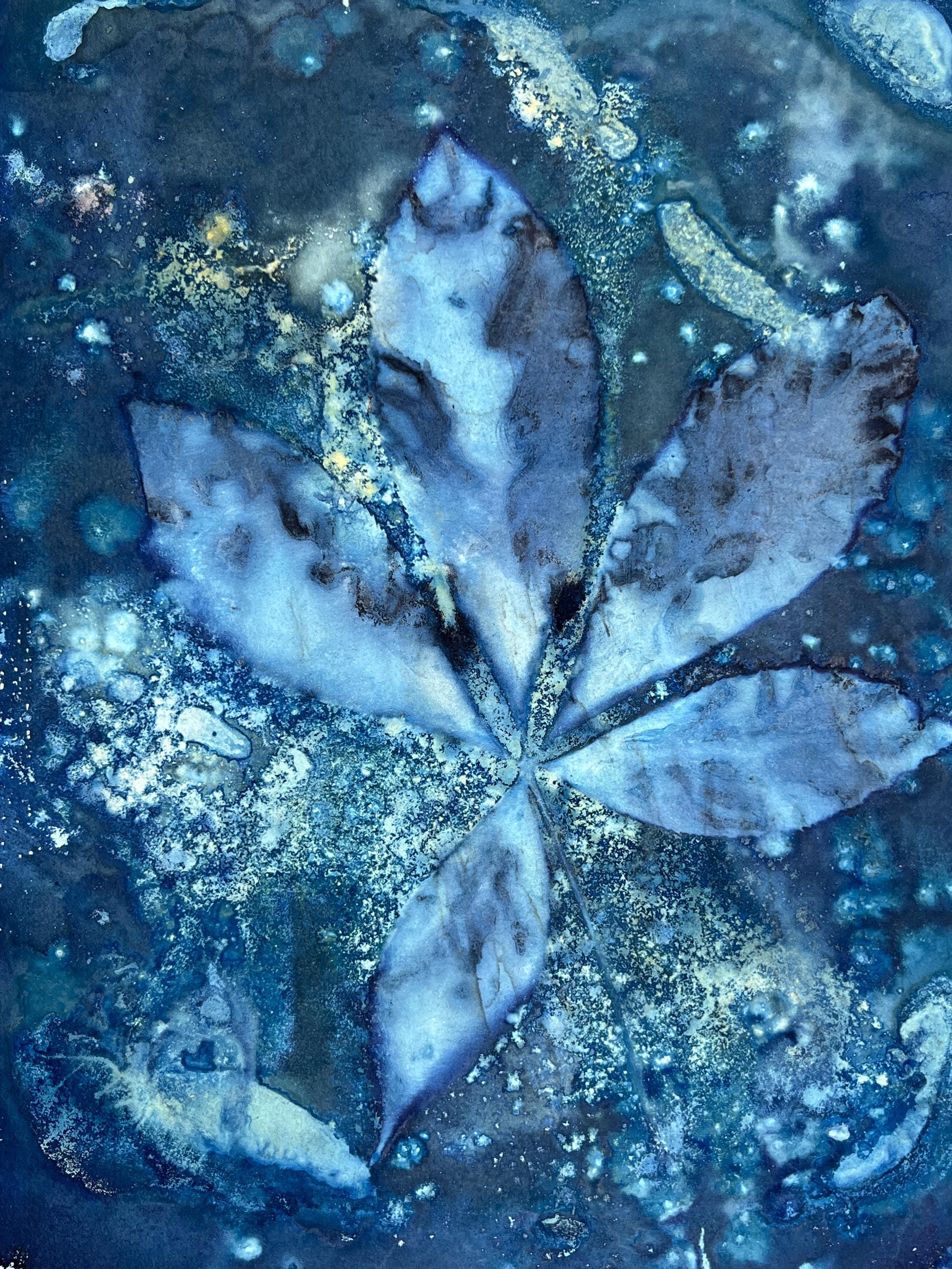 Buckeye Leaf Cyanotype Print | 8x10 Ohio Botanical Wall Art - Etsy