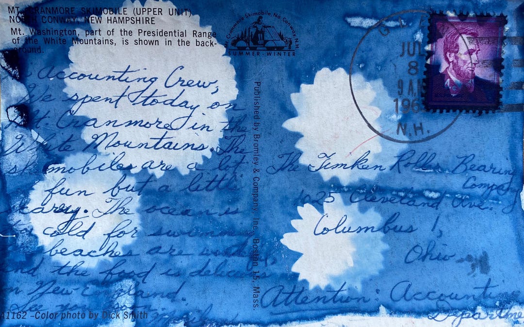 Cyanotypes Blue Postcard - Cyanotype Print - Botanical Dried Straw ...