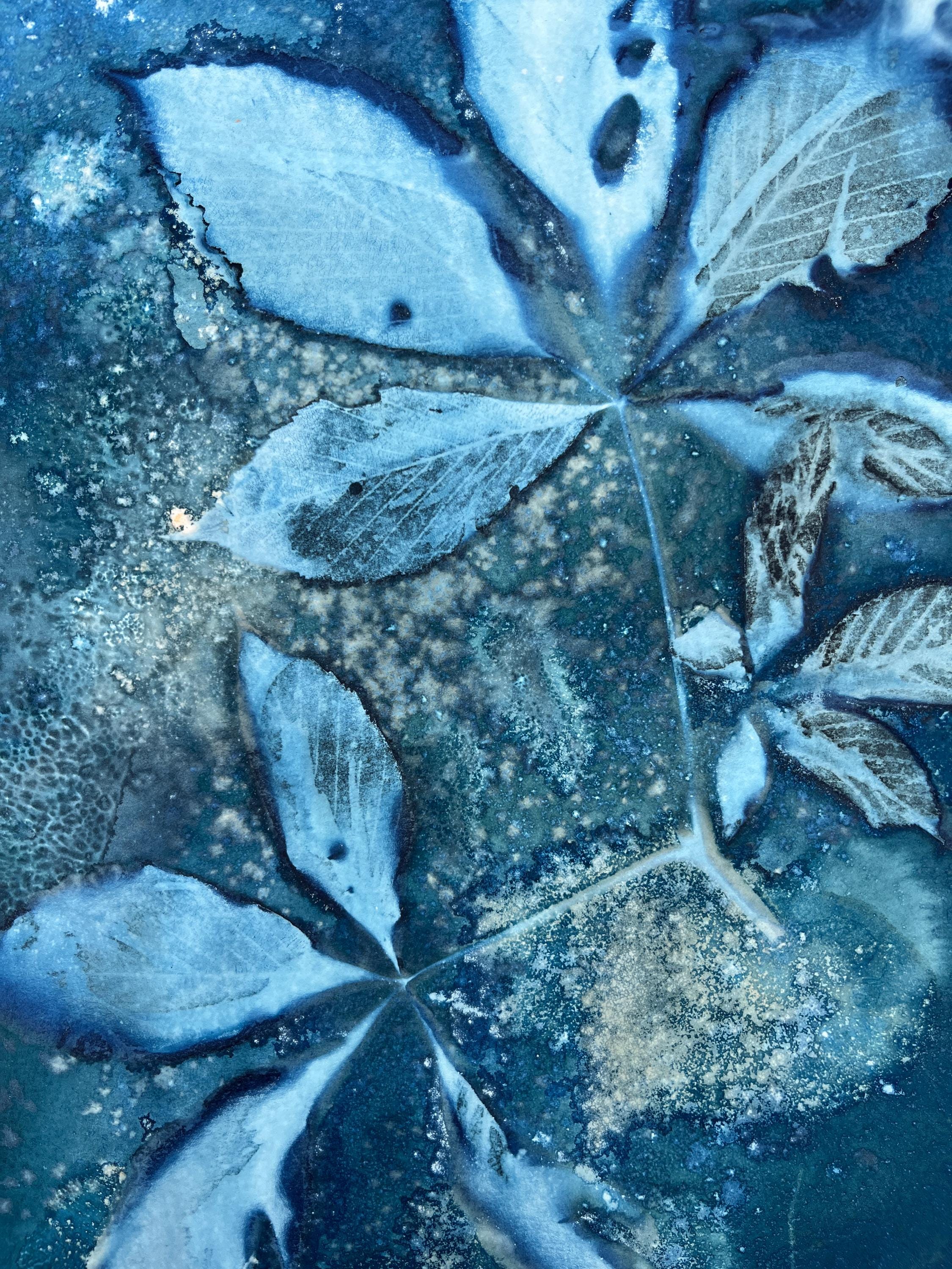Cyanotype Buckeye Leaves Leaf Art | Buckeyes Ohio Blue Tree Print on ...