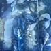 Cyanotype Feather Flower Blue Photograph | Feathers Blue Green Art ...