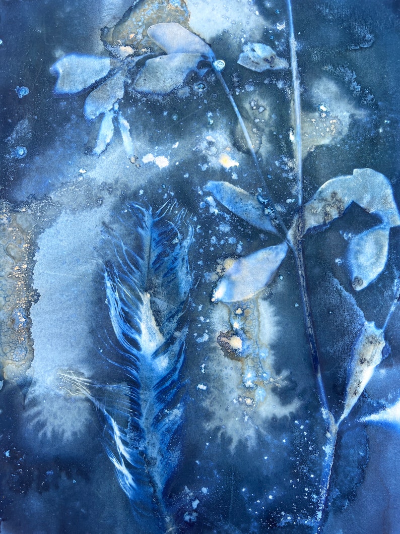 Cyanotype Feather Flower Blue Photograph | Feathers Blue Green Art ...