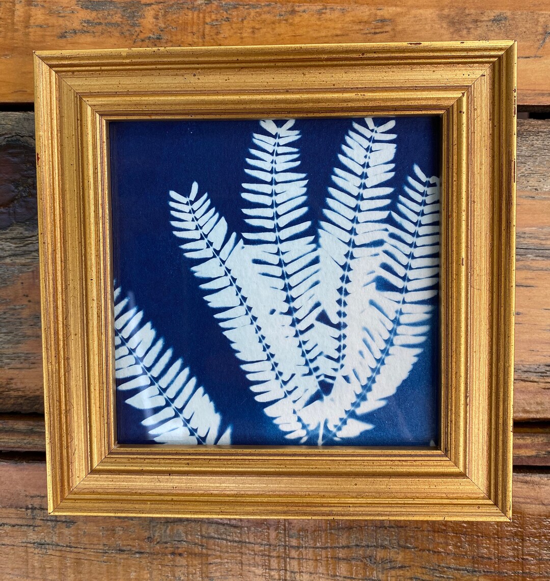 Cyanotype Gold Frame Mimosa Tree Leaves Branch Blue Print Original ...