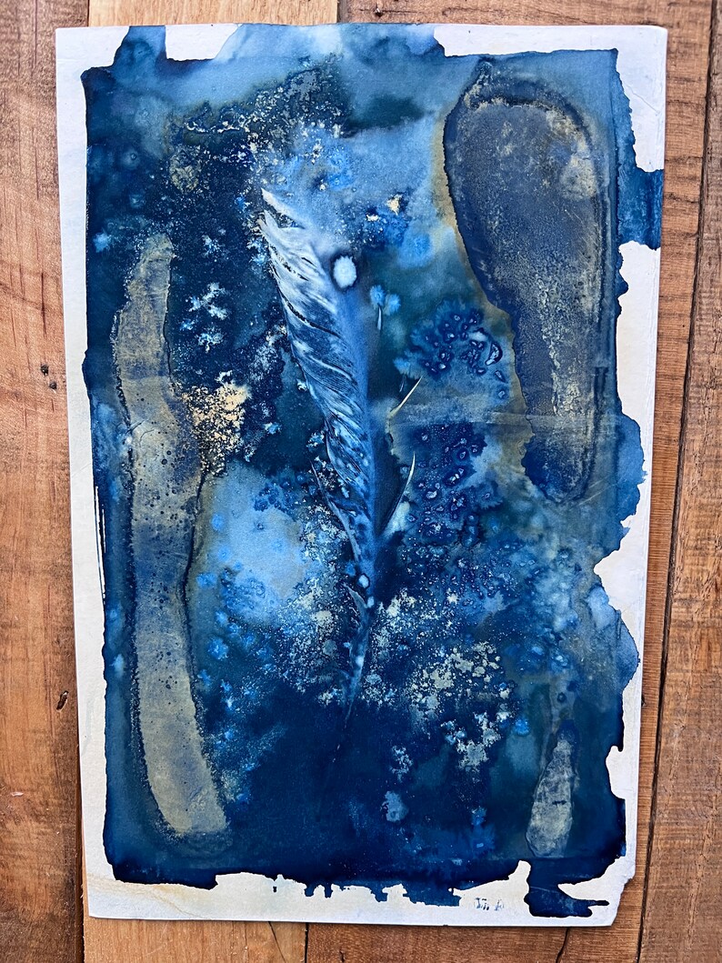 Cyanotypes Celestial Blue Feather | Cyanotype Bohemian Art | Bird ...