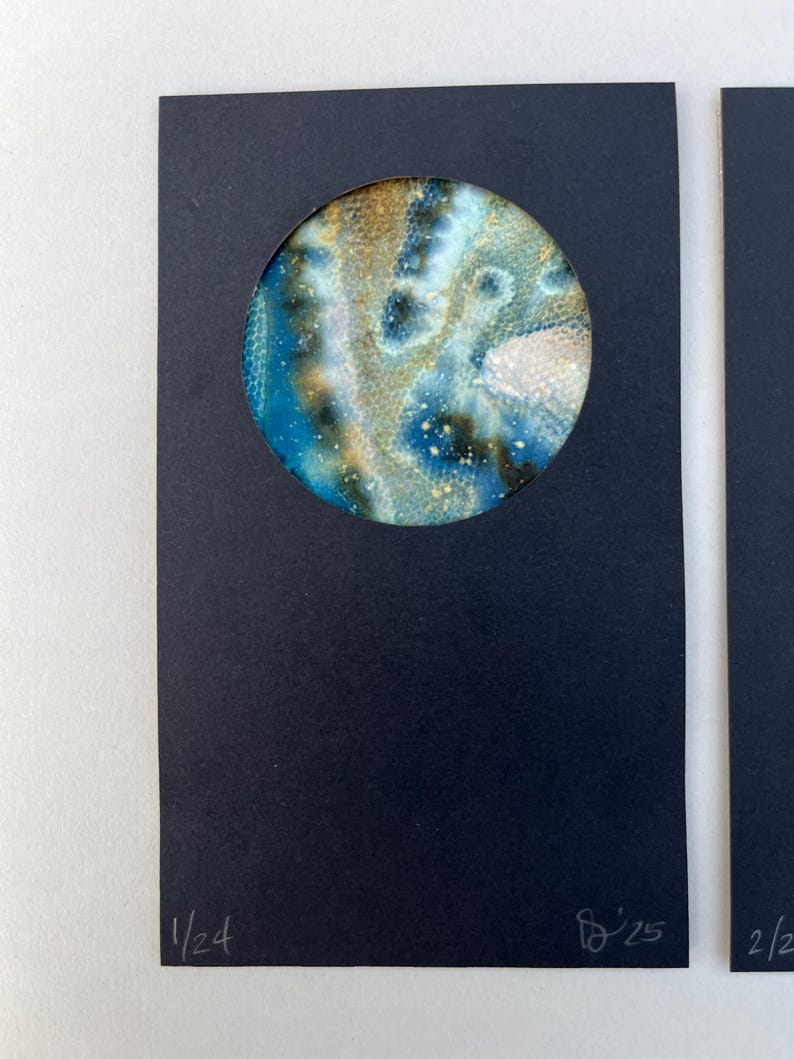 Cyanotype Mini Circle Art | Limited Edition Blue Artwork - Etsy