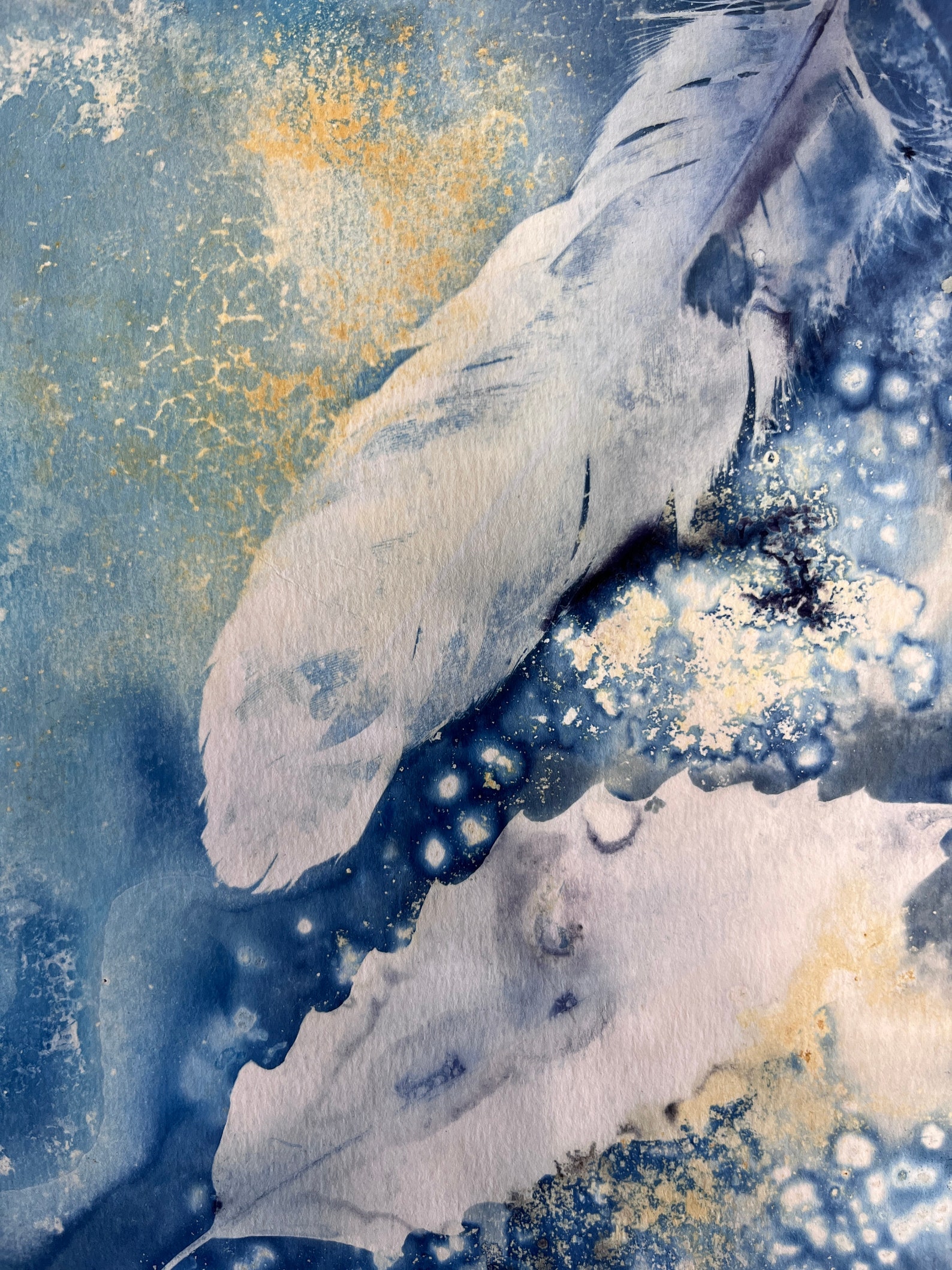 Feathers Cyanotype BLUE Gold Cyanotypes Print Art Bird Boho Feather ...