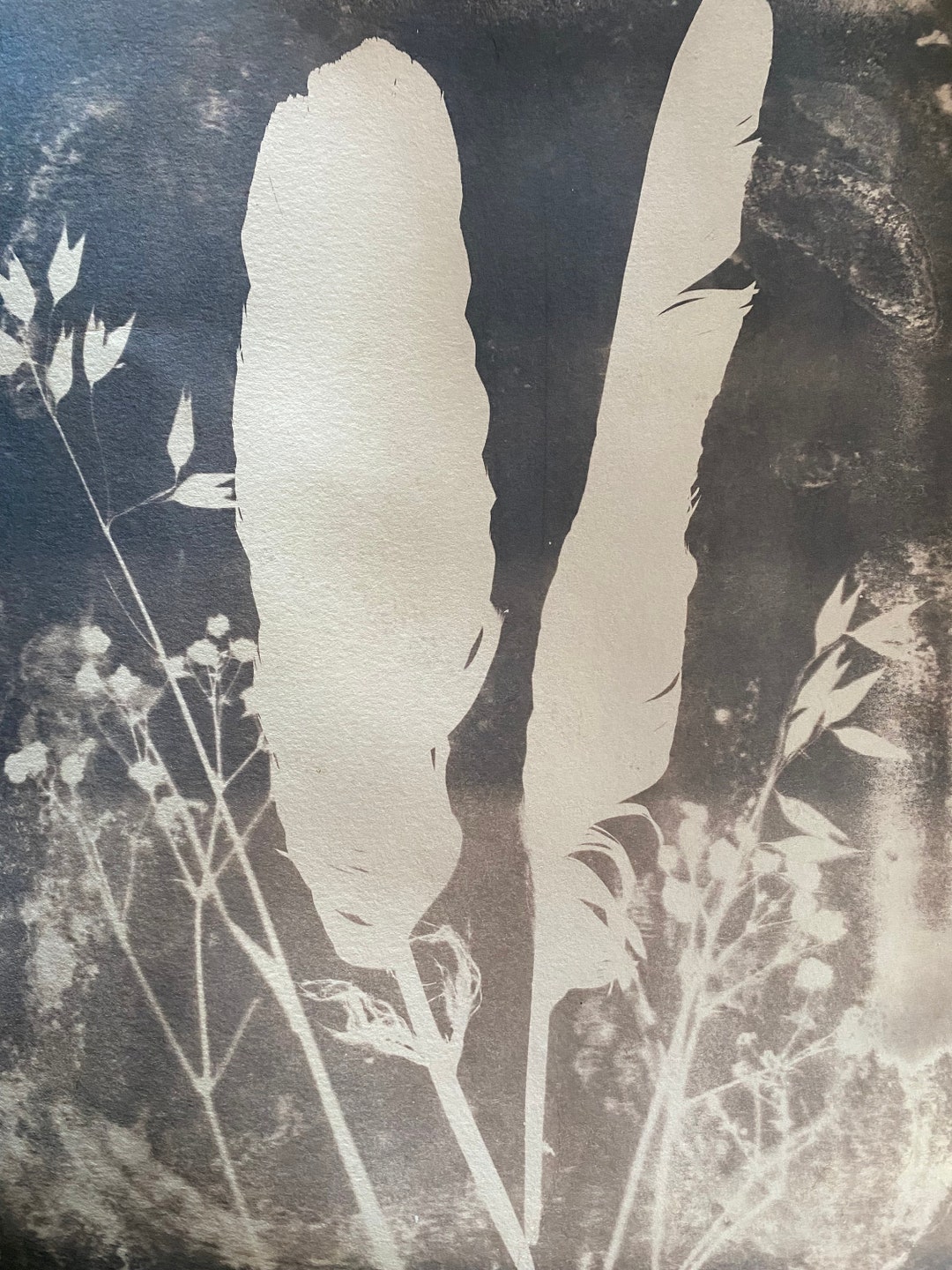 Cyanotypes SALE Celestial Feather Stained Cyanotype Print Art - Etsy