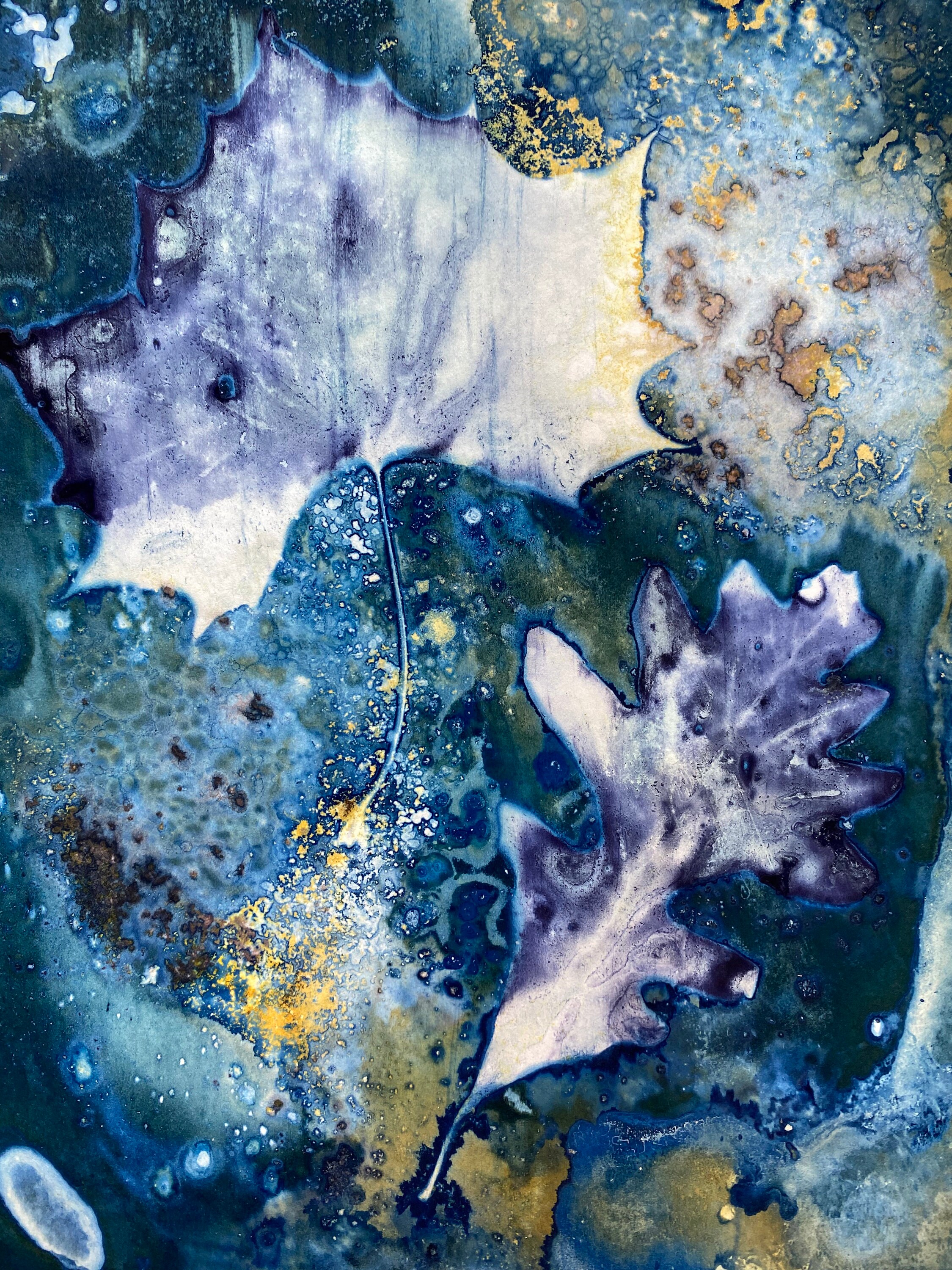 Autumn Foliage Cyanotype Art Plant Lover Leaves Cyan Blue Nature Print ...