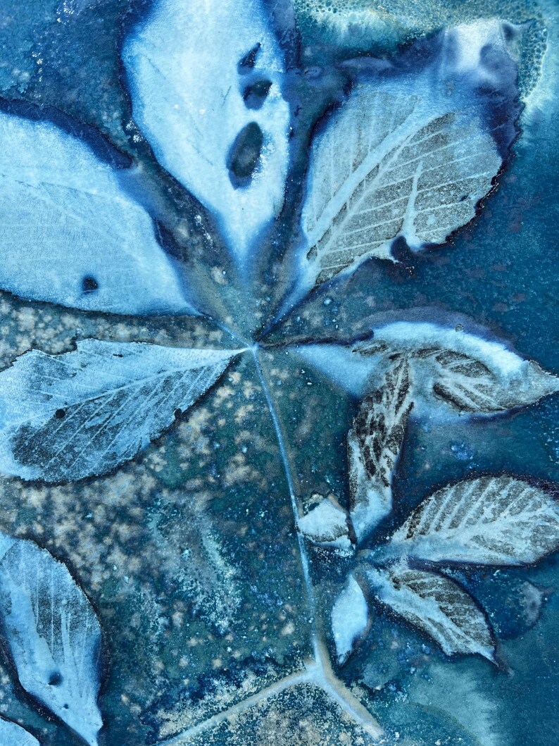 Cyanotype Buckeye Leaves Leaf Art | Buckeyes Ohio Blue Tree Print on ...