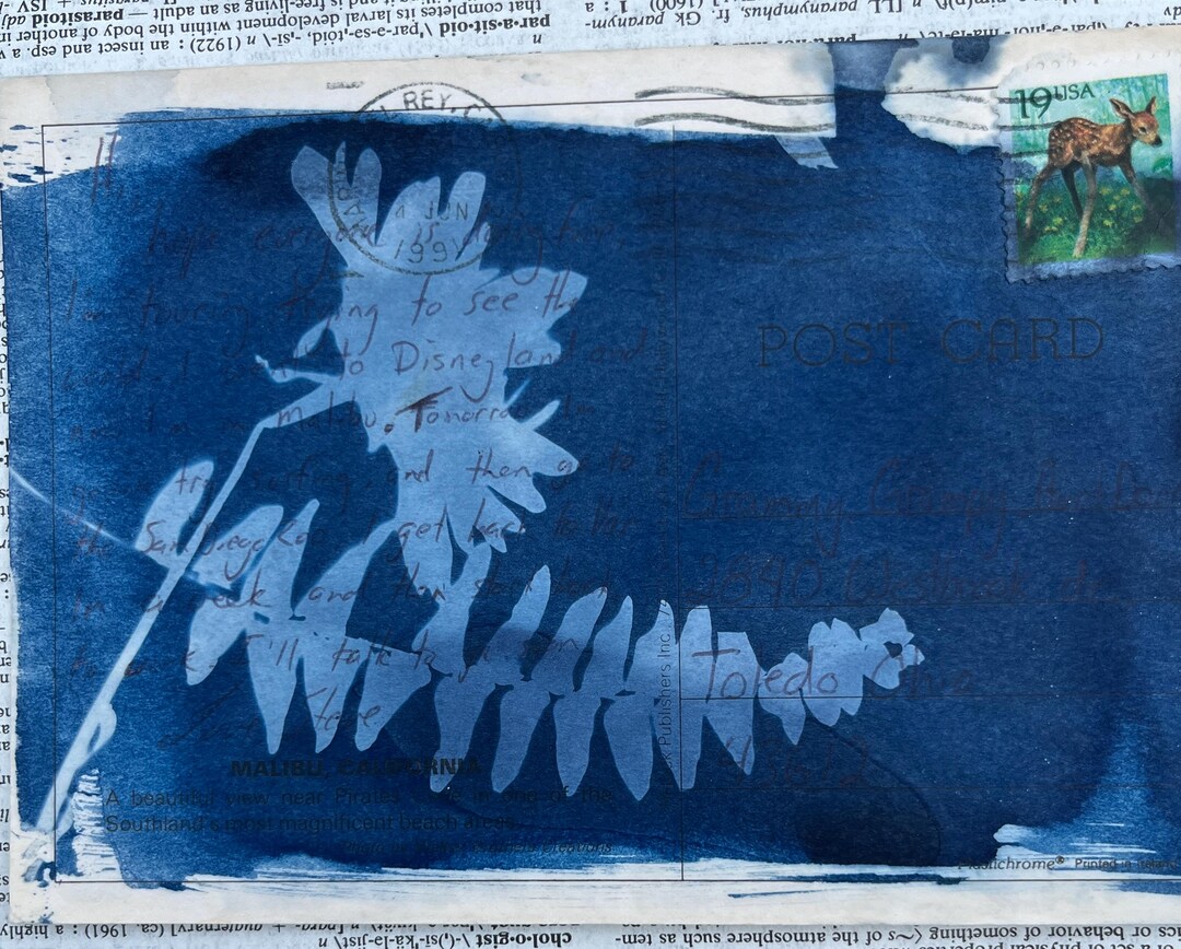 Botanical Cyanotype Postcard Print | Fern Art, Antique OOAK 4x6 - Etsy