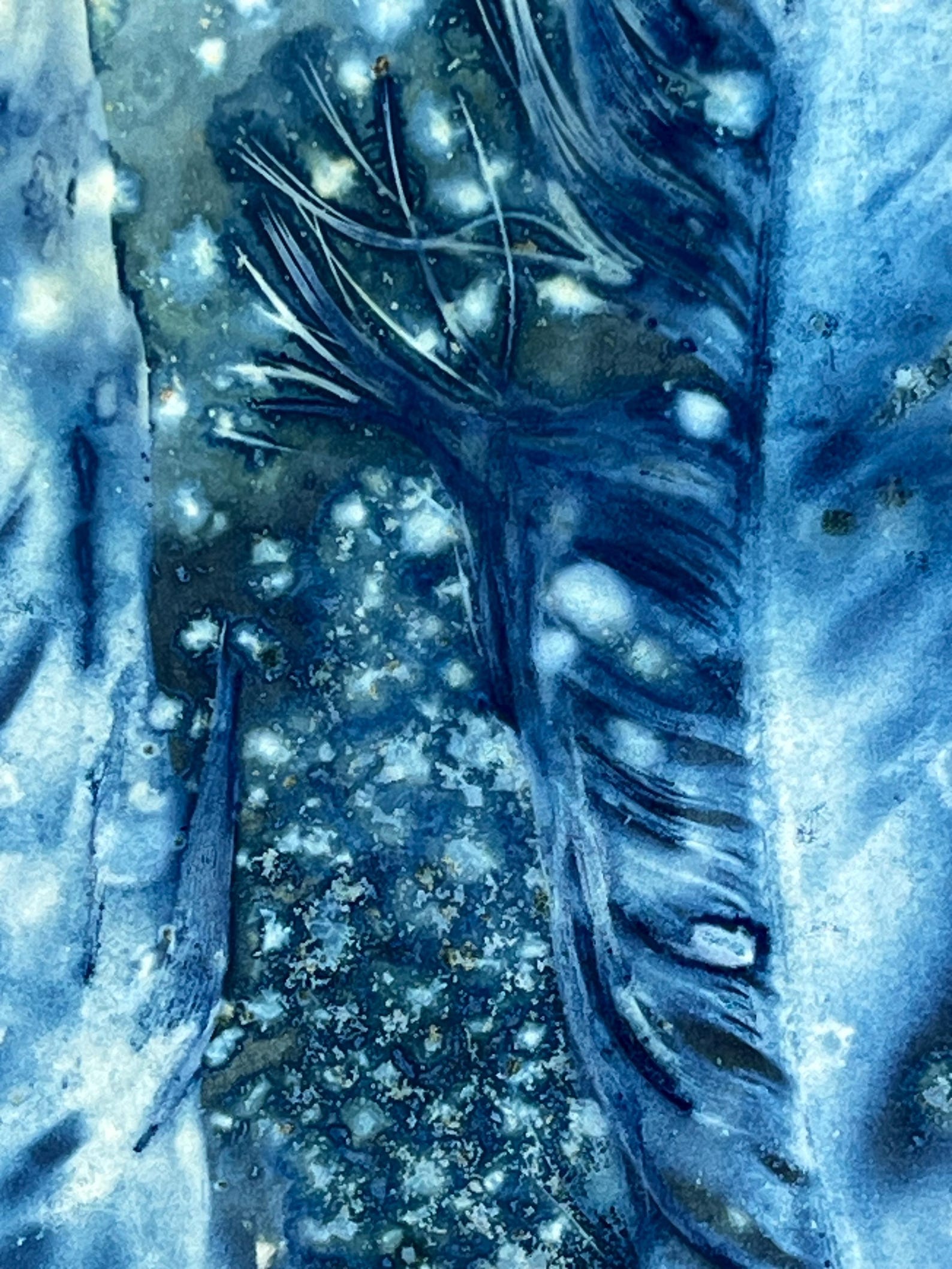 Feather Blue Cyanotype Celestial Blue Feathers | Cyanotype Bohemian Art ...