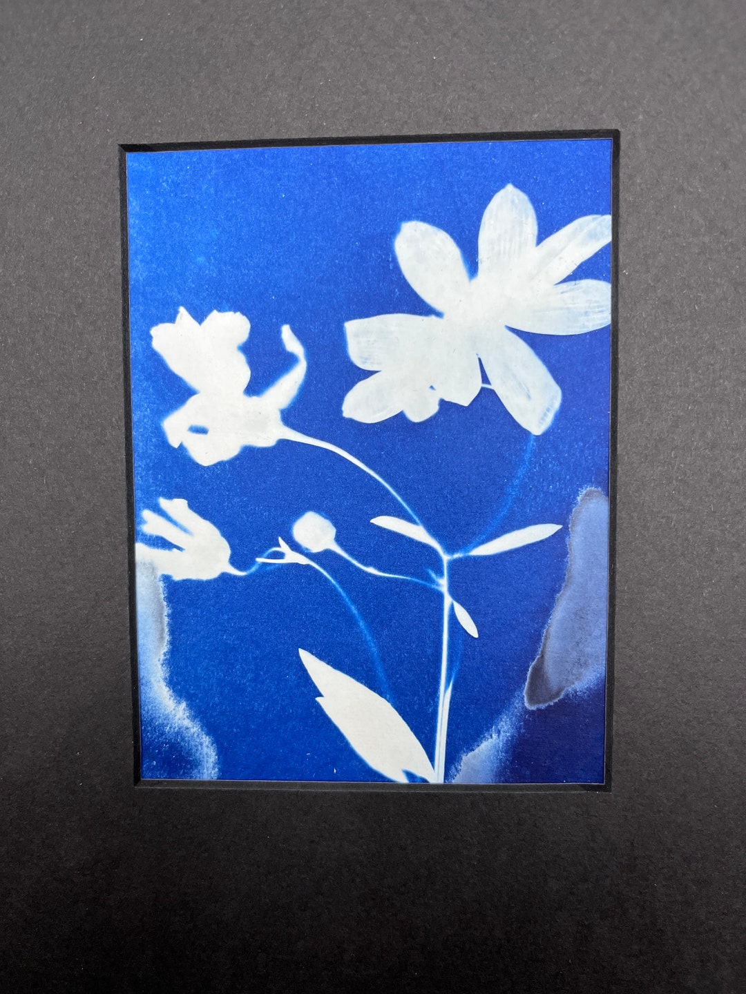 Cyanotype Blue Boho Flower | Queen Annes Lace Flower | Blue Photography ...