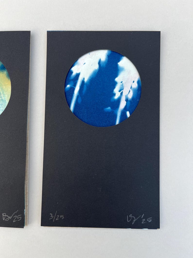 Cyanotype Mini Circle Art | Limited Edition Blue Artwork - Etsy