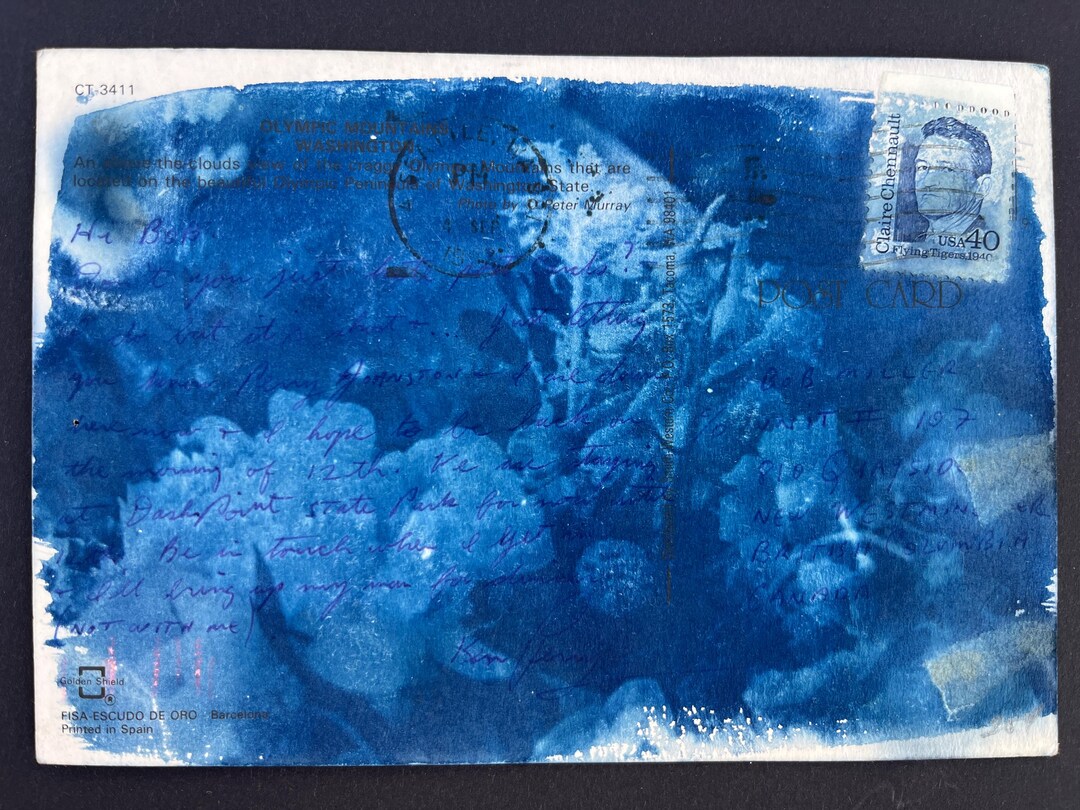 Cyanotypes Blue Postcard Wedding Bouquet Flowers - Cyanotype Print ...