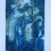 Cyanotype Feather Flower Blue Photograph | Feathers Blue Green Art ...
