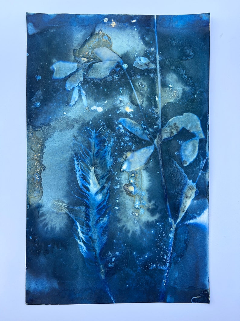 Cyanotype Feather Flower Blue Photograph | Feathers Blue Green Art ...