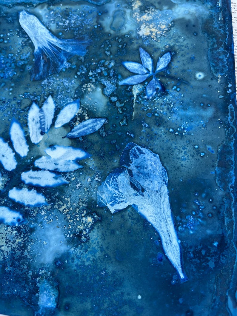 Costa Rica BLUE Flowers Leaves Cyanotype Print Cyan Blue Flowers Deep ...