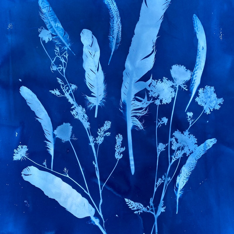 Cyanotype Print - Etsy