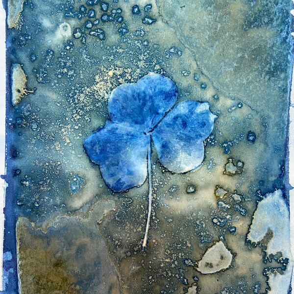 Cyanotype Print - Etsy