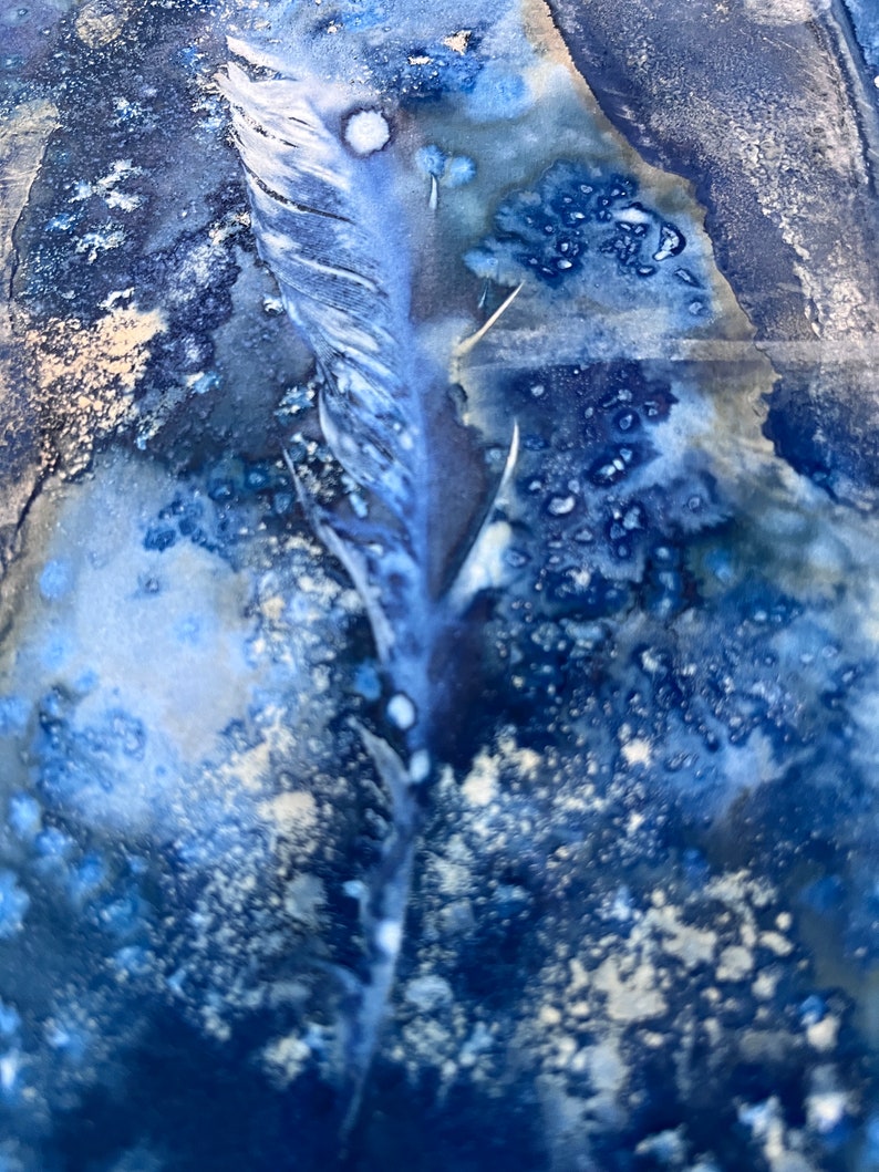 Cyanotypes Celestial Blue Feather | Cyanotype Bohemian Art | Bird ...