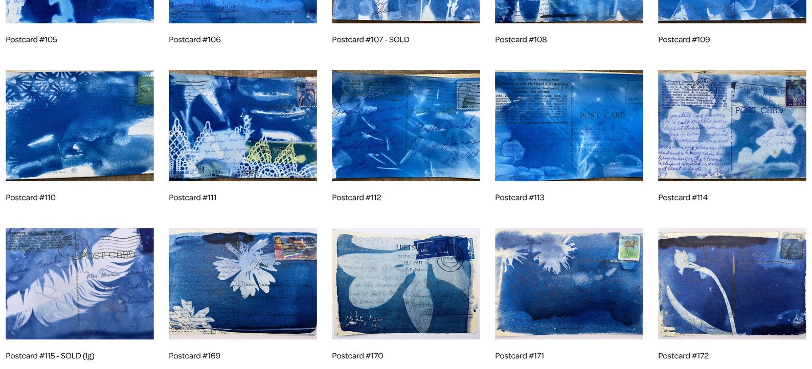 Cyanotypes Blue Postcard - Cyanotype Print - Botanical Dried Flower ...