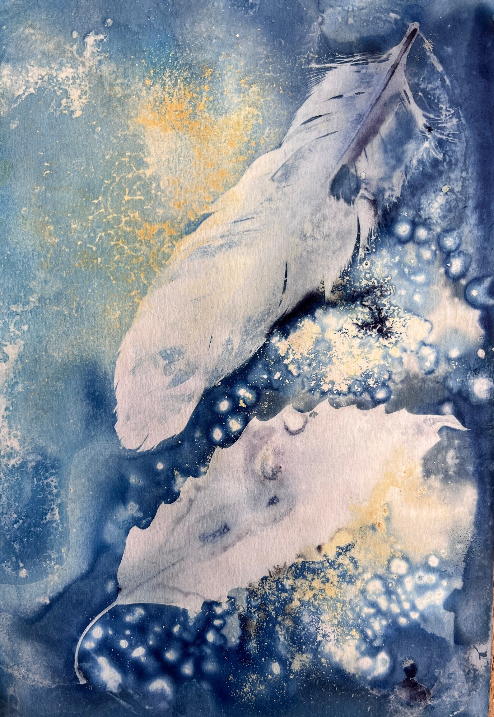 Feathers Cyanotype BLUE Gold Cyanotypes Print Art Bird Boho Feather ...