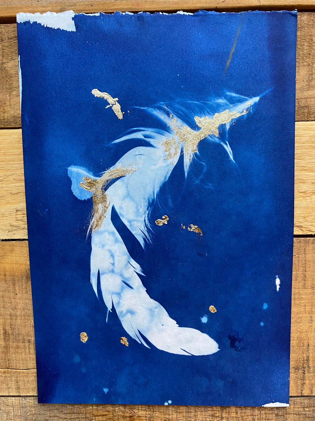 GOLD Cyanotype Print Feather Study Gold Feather - Bird Rooster Chicken ...