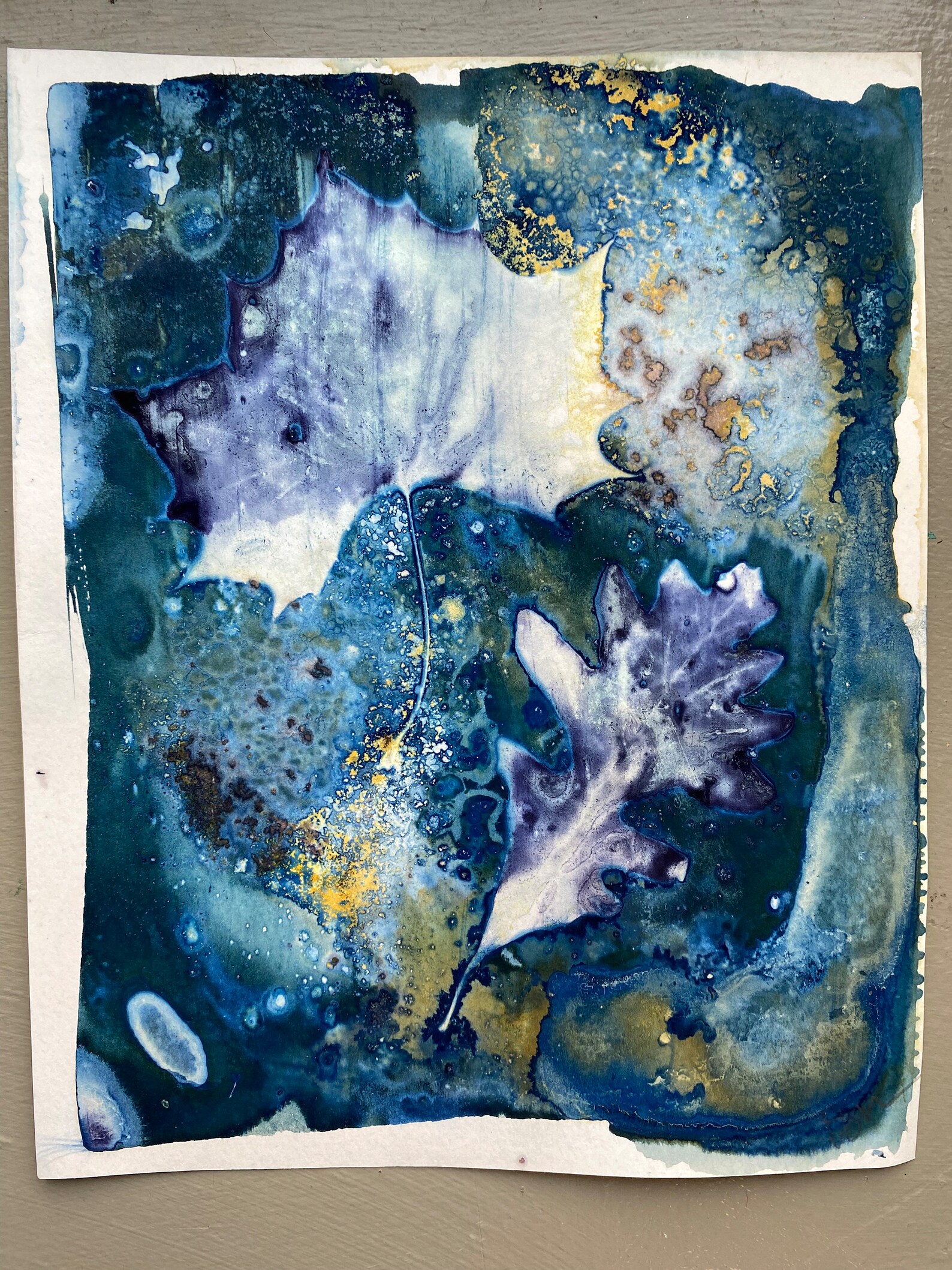 Autumn Foliage Cyanotype Art Plant Lover Leaves Cyan Blue Nature Print ...