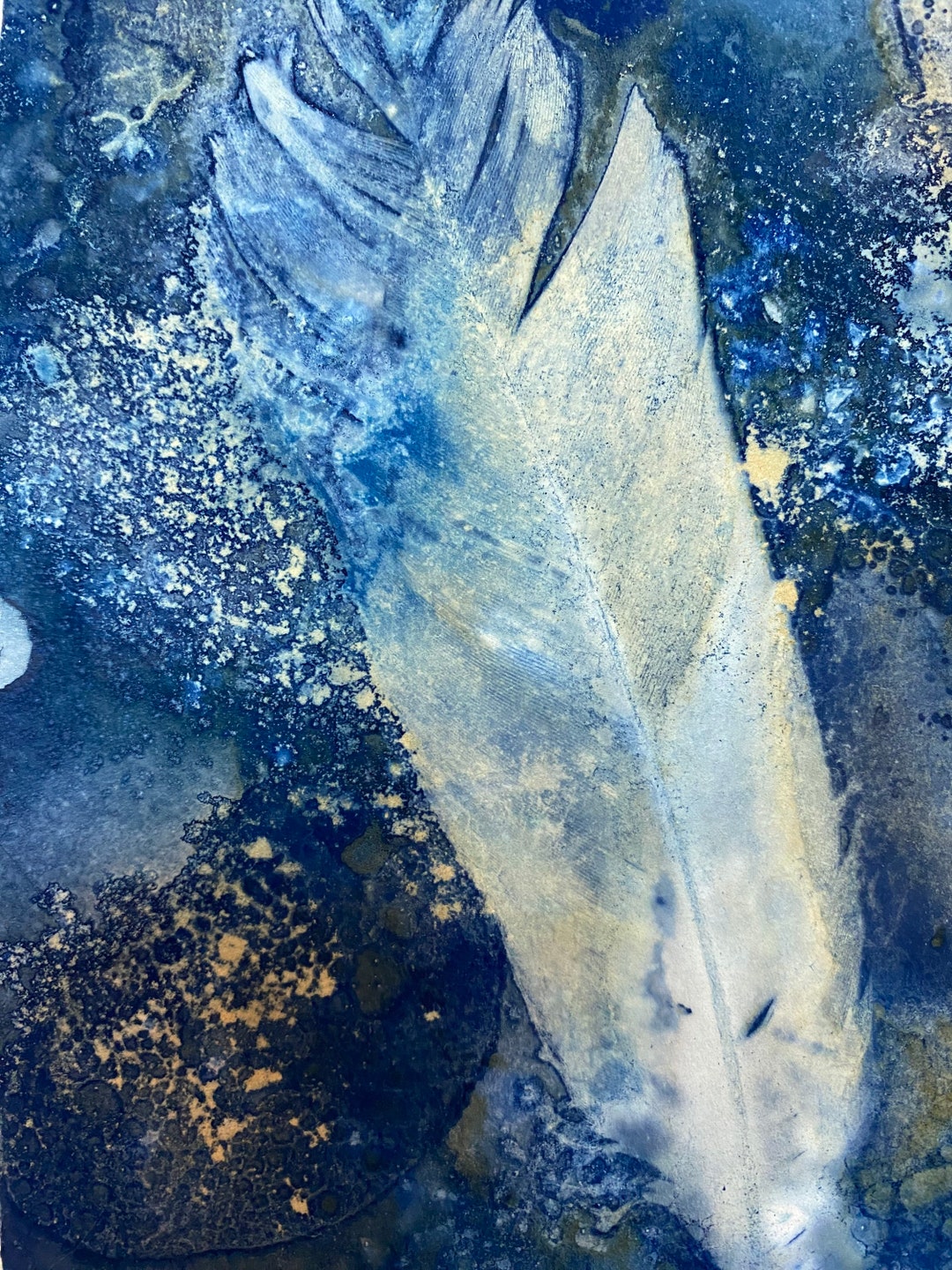 Feathercyanotypes Celestial Blue - Cyanotype Print Feather Art - Bird ...