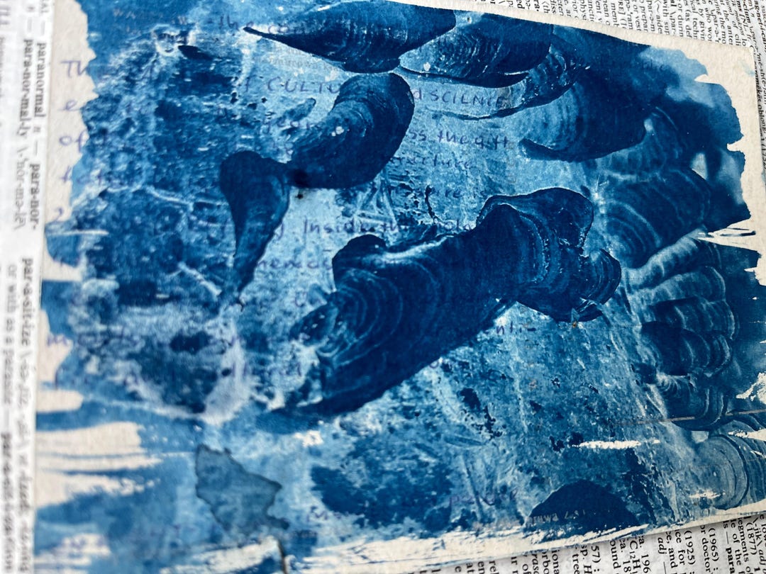 Nature Small Art Cyanotypes Blue Postcard | Cyanotype Mountain Original ...