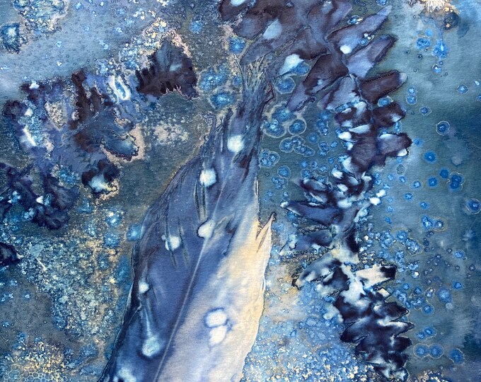 Blue Cyanotype Print Photograph | Feather Fern Deep Blue | Blue Print ...