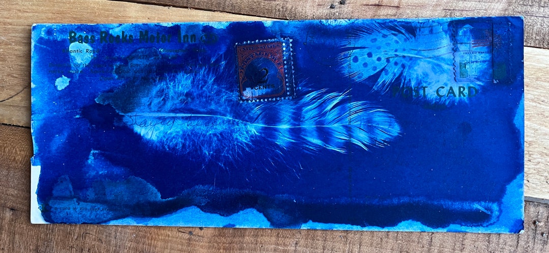 Cyanotype Feather Print Bird Feather Blue Old Long Postcard Spotted ...
