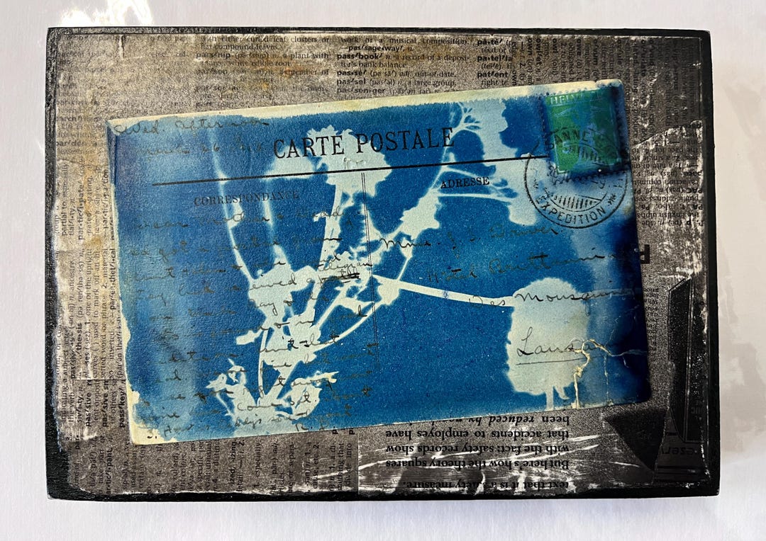 Botanical Cyanotypes Blue Postcard Cyanotype Print Mounted on Wood ...