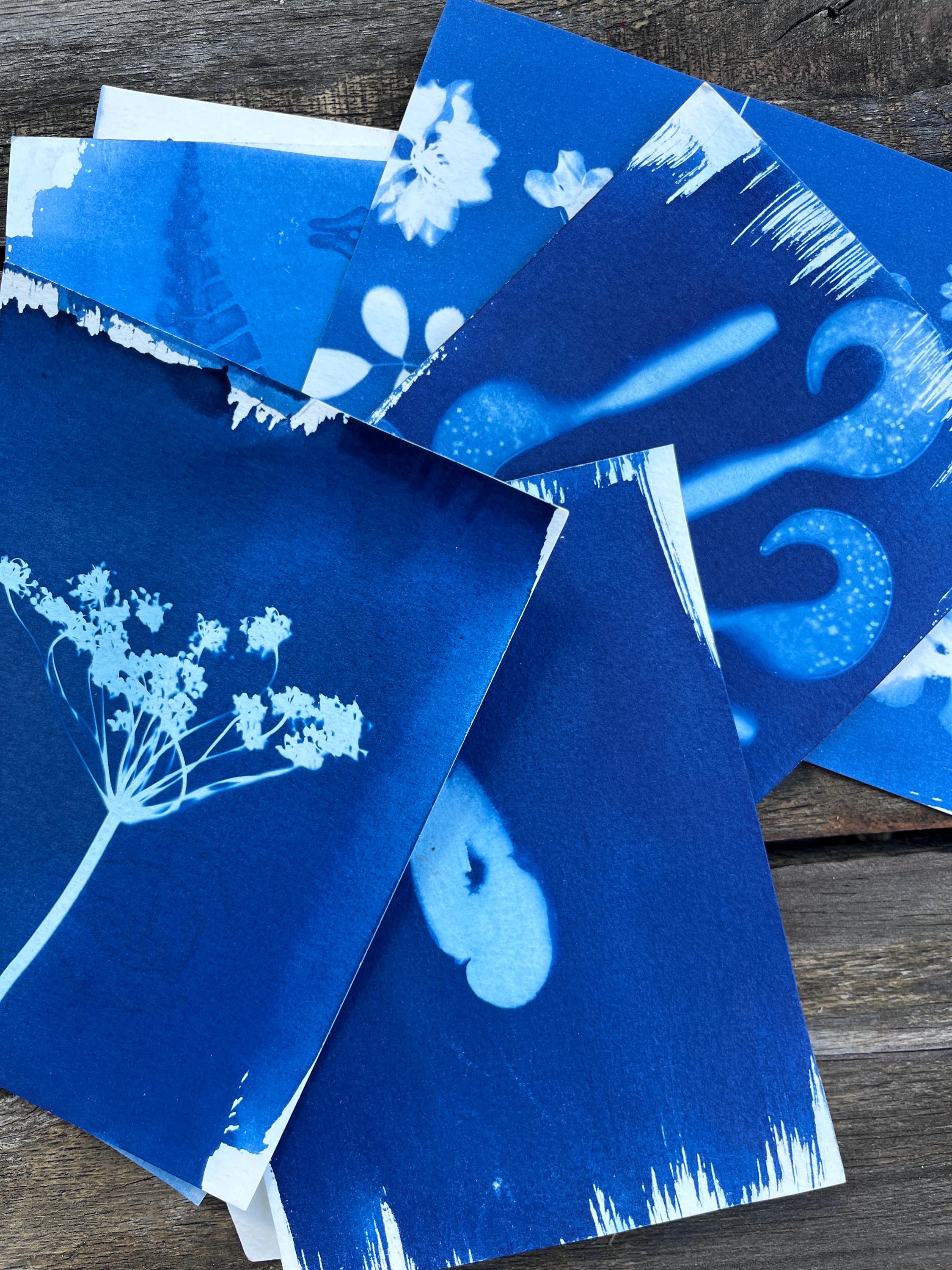 Mystery Cyanotype Print | Nature Wall Art, 4x6 Blue Artwork - Etsy