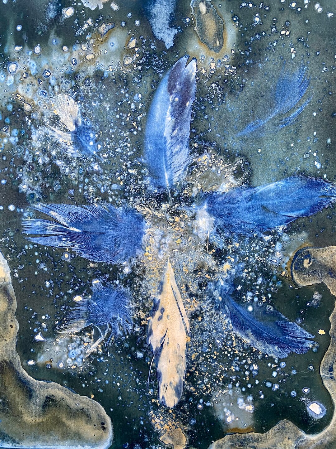 Feather Dream Sky BLUE Cyanotype Celestial Blue - Cyanotype Art - Bird ...