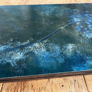 Queen Annes Cyanotype Botanical Original Print | Photograph Blue Plant ...