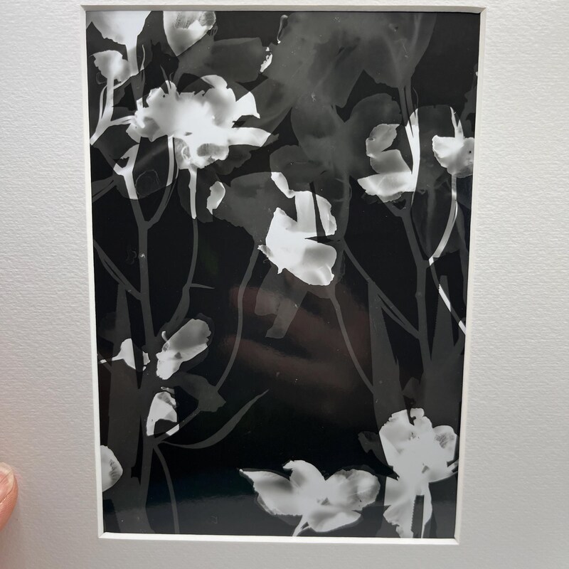 White Flower Photograph - Etsy
