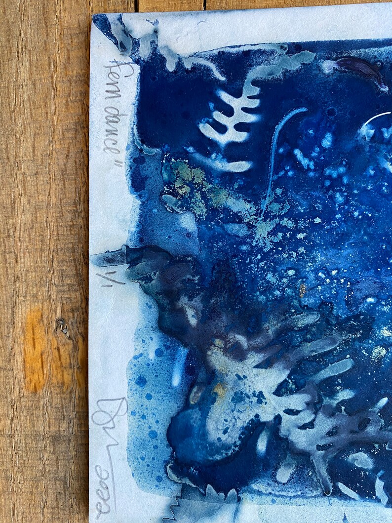 Cyanotype Fern Botanical Plants Photograph Blue Plant Art - Etsy
