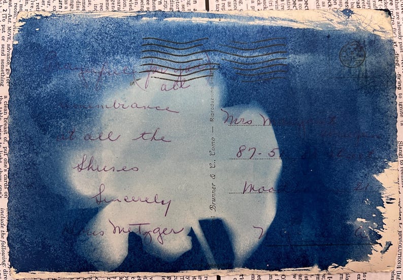Lily Cyanotype Art Postcard | Antique Floral Print (4x6) - Etsy