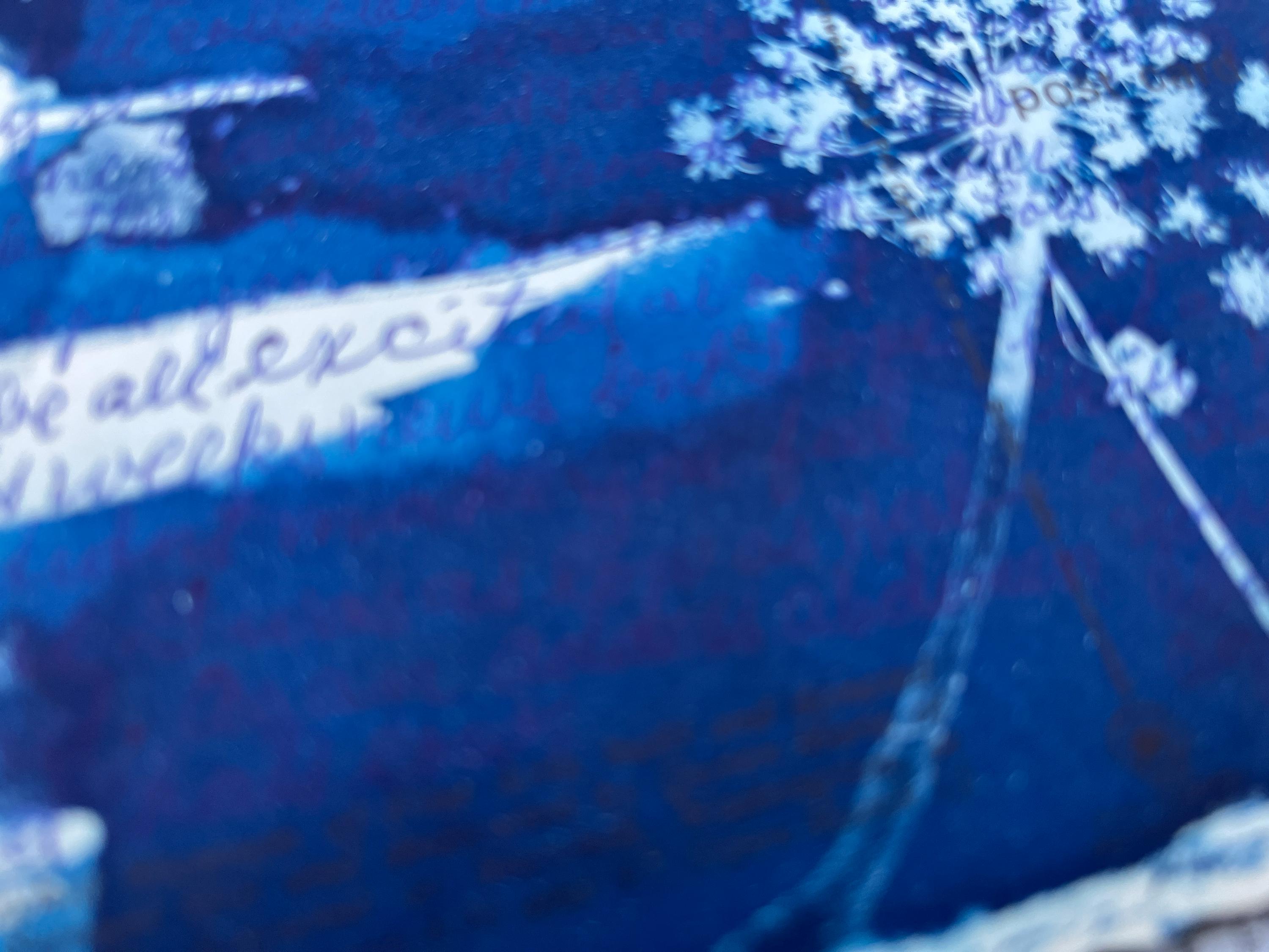 Queen Anne's Lace Cyanotype | Antique Postcard Floral Print (4x6) - Etsy