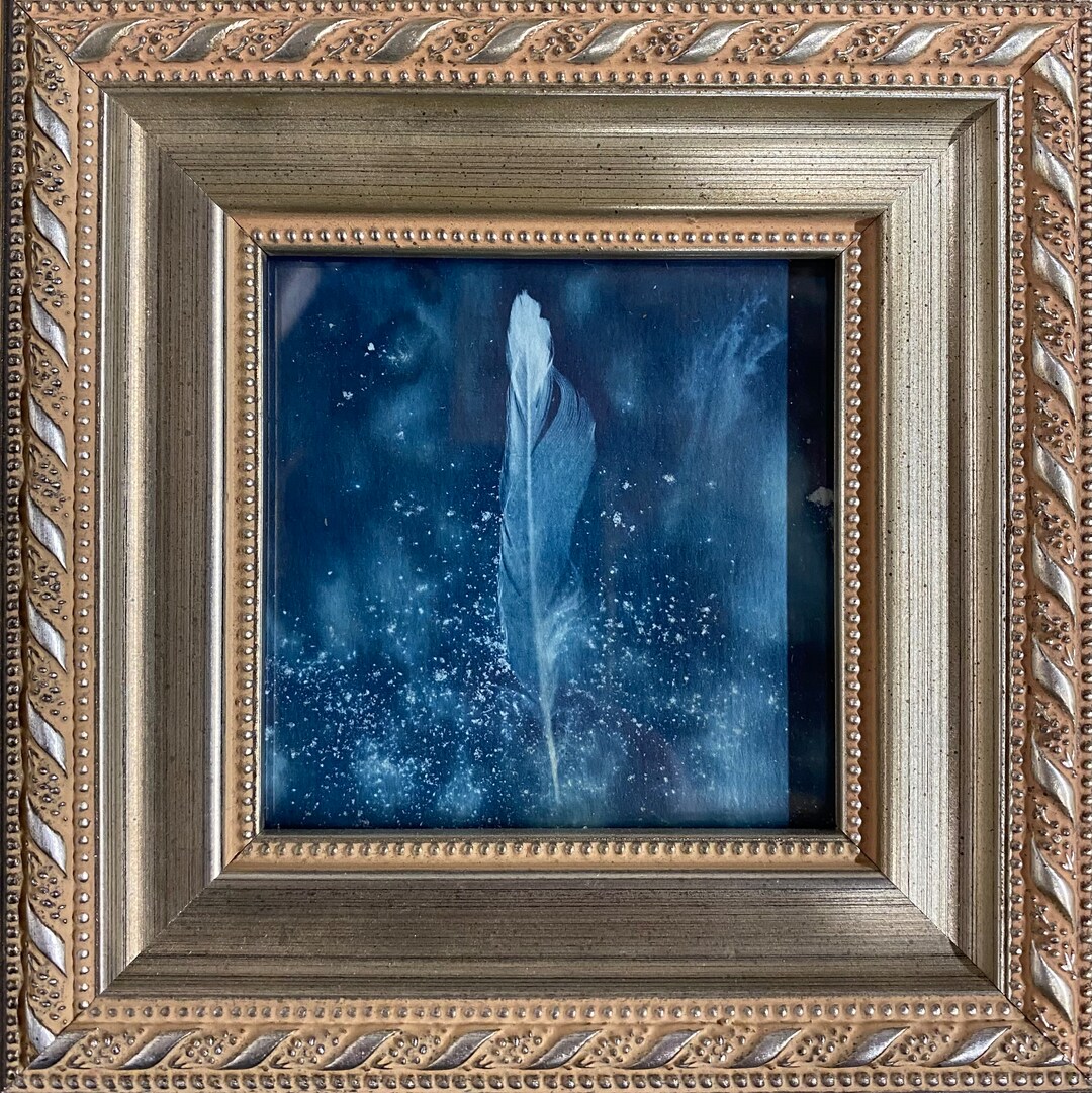 Cyanotype Feather Art – Framed Bird Feather Print, Gold Frame (3x3) - Etsy