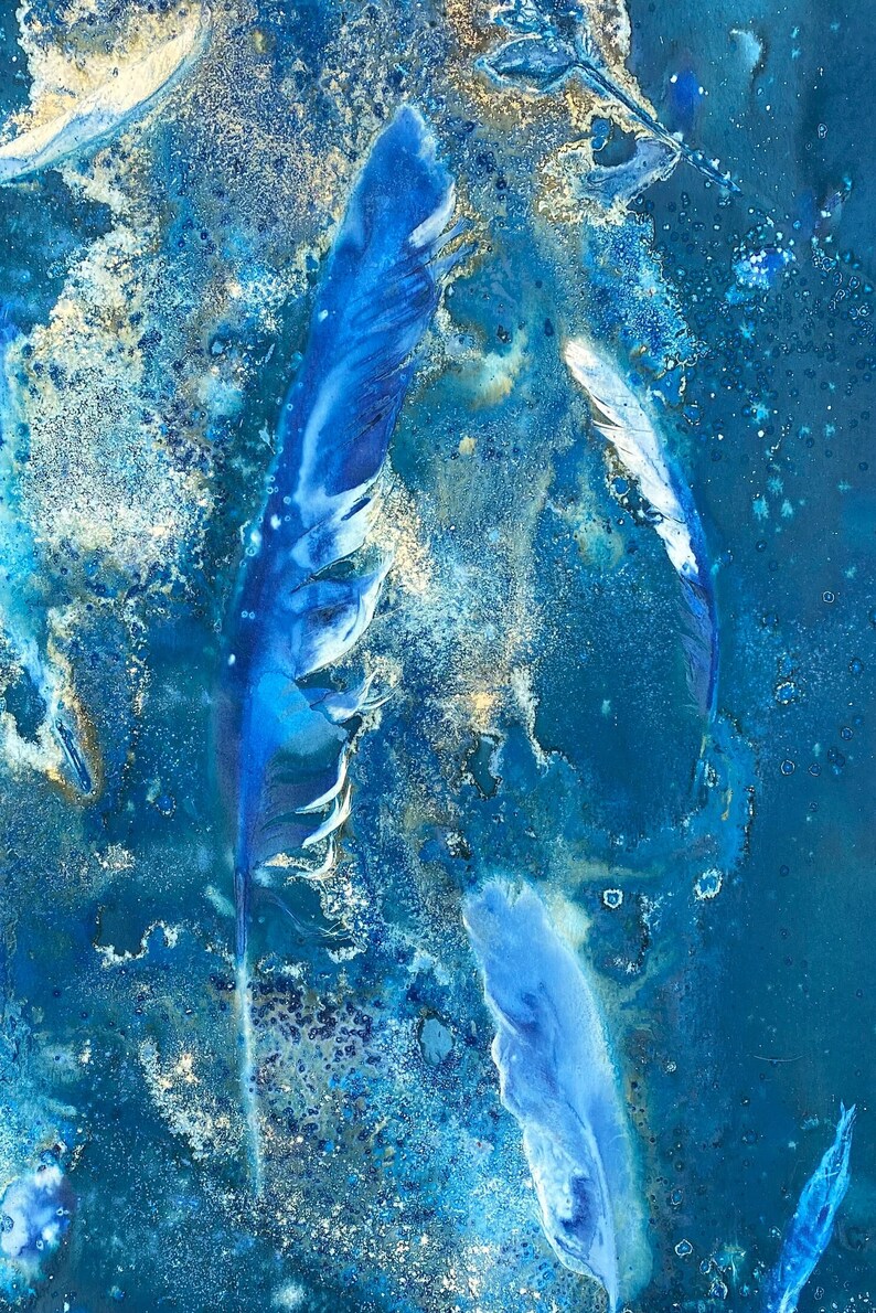 Cyanotype Feather Giclee Print | Boho Blue Science Art (8x10) - Etsy