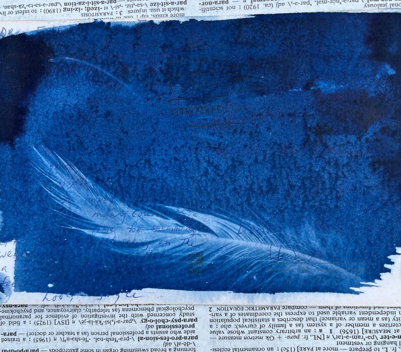 Blue Feather Small Art Cyanotypes Blue Postcard | Cyanotype Print ...