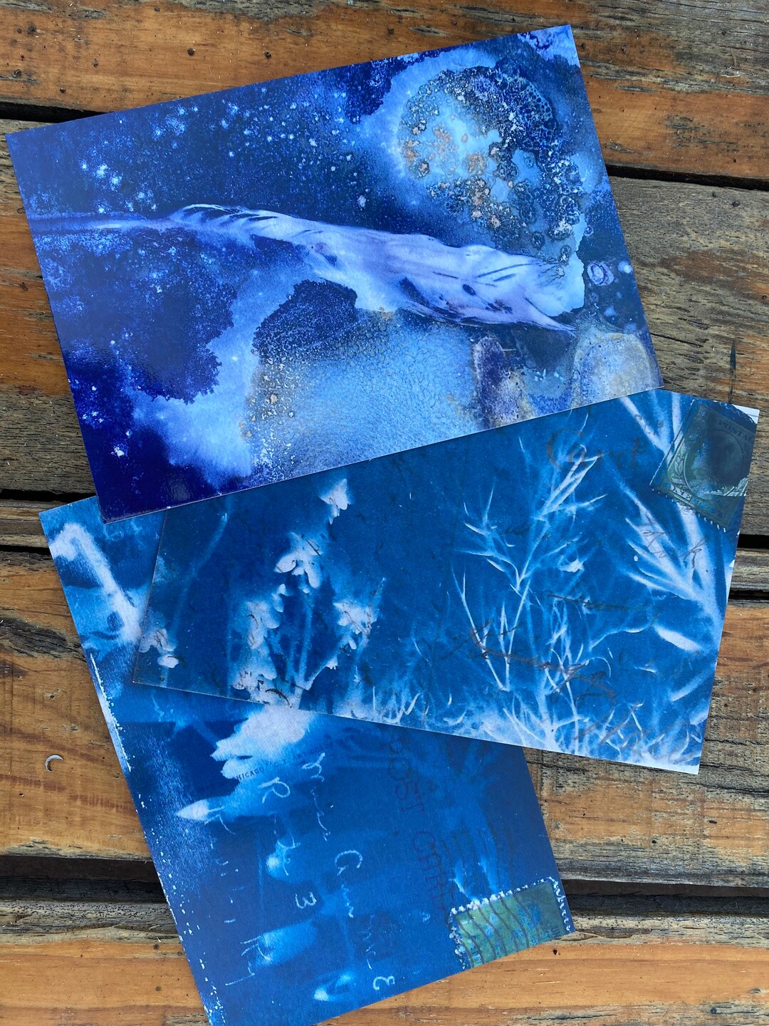 BLUE Postcard Flower Feather Cyanotype Art Postcards Cyan Photo Art ...