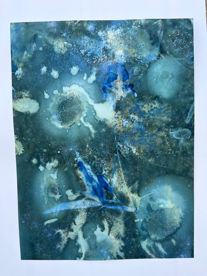 Cyanotype Wildflower Wall Artwork | Blue Green Wet Cyanotypes Print ...