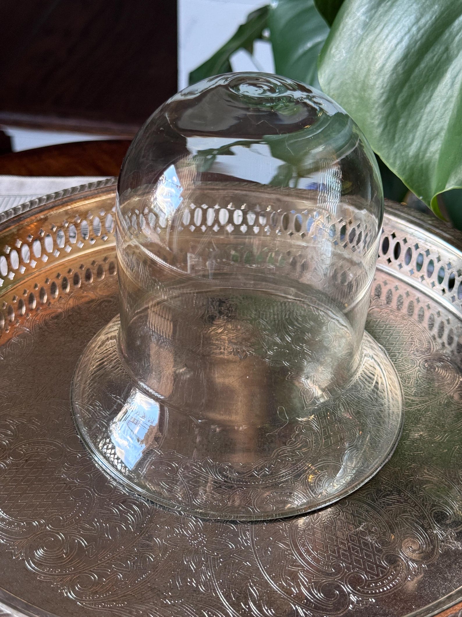 Small Glass Bell Cloche | Vintage Style Display Dome 5” Tall | Cottage ...