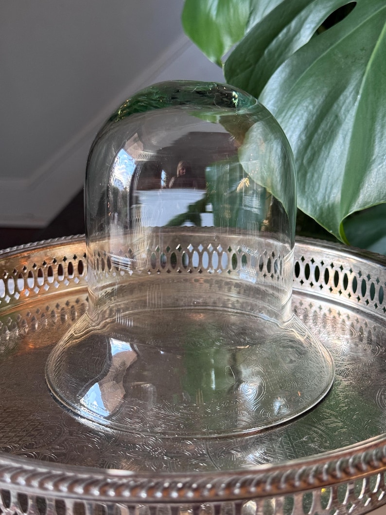 Small Glass Bell Cloche | Vintage Style Display Dome 5” Tall | Cottage ...