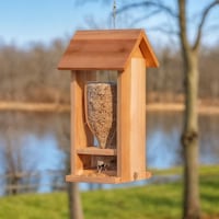 DIY Bird Feeder Plan: Step-by-step Woodworking Plans (PDF Download) - Etsy