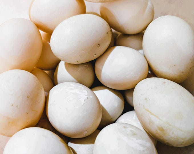 Farm Fresh Duck Eggs | Farm Fresh | Rich and Creamy Taste | Dozen | All ...