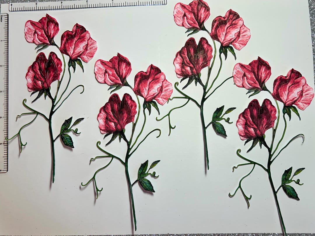 4 Sweet Pea Paper Die Cut, Card Supplies, Scrapbooking, Paper Crafting ...
